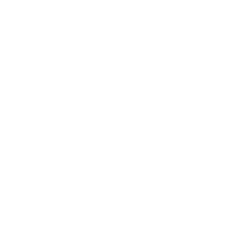 RM-SAH010 – RichMan®